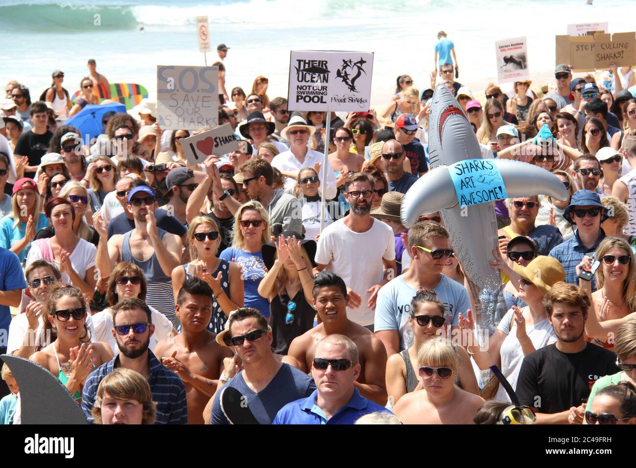 Protesters gather at Manly Beach in Sydney to protest against the shark ...