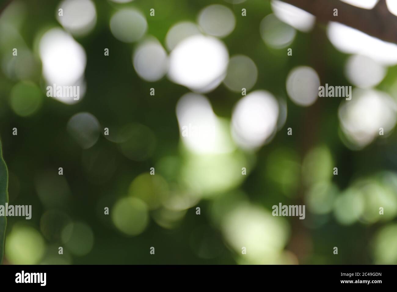 Abstract bokeh out of focus background Stock Photo - Alamy