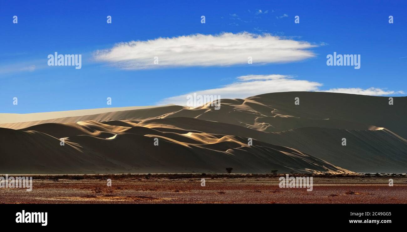 Beautiful landscape with big dunes at sunrise, Sossusvlei, Namib ...