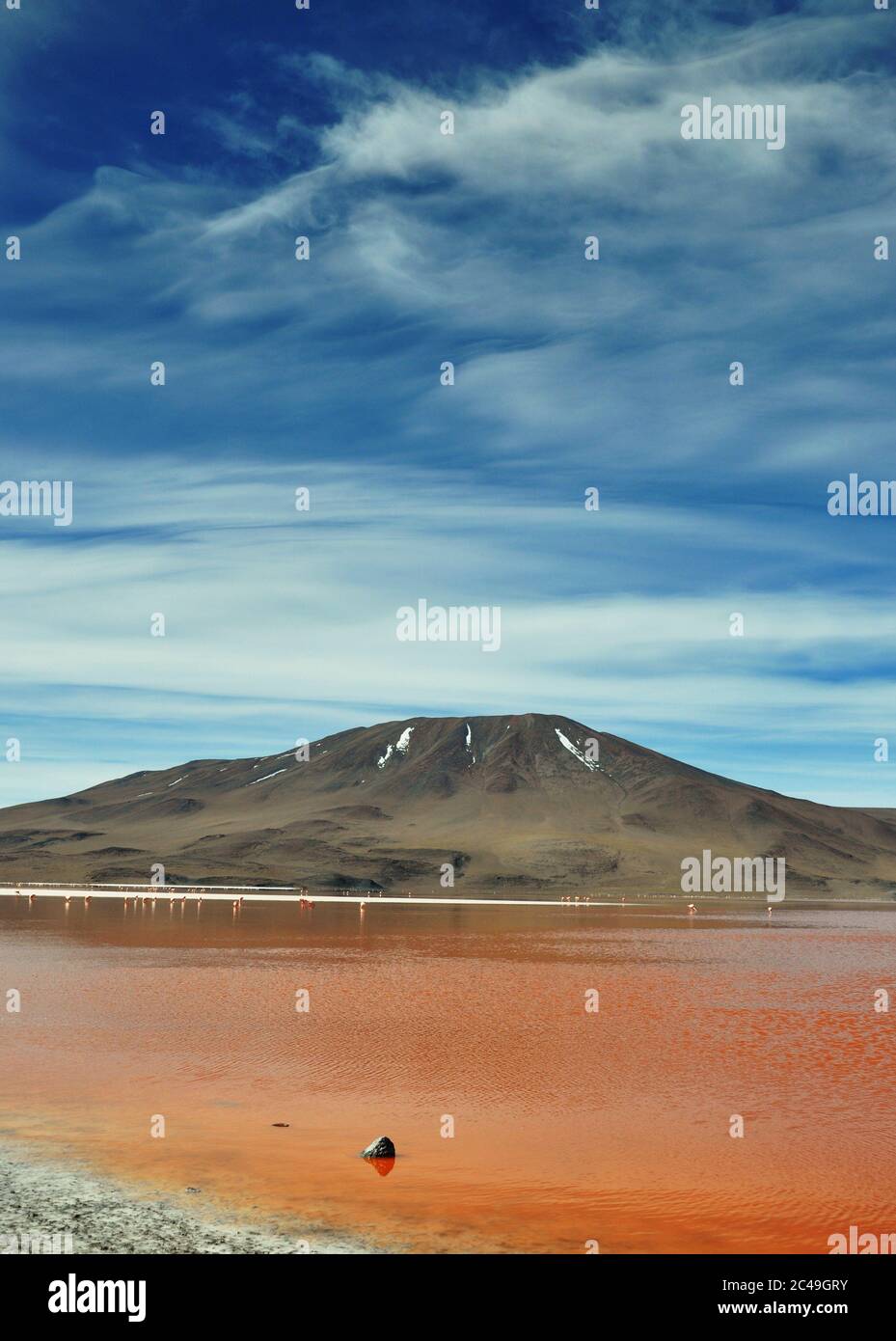 Laguna Colorada, Bolivia Stock Photo - Alamy