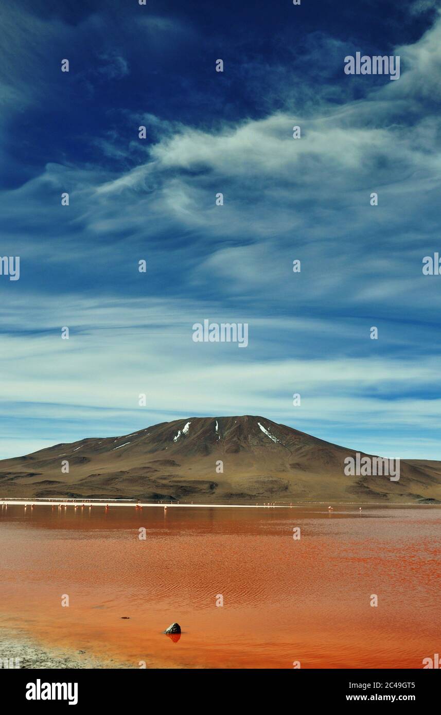 Laguna Colorada, Bolivia Stock Photo - Alamy