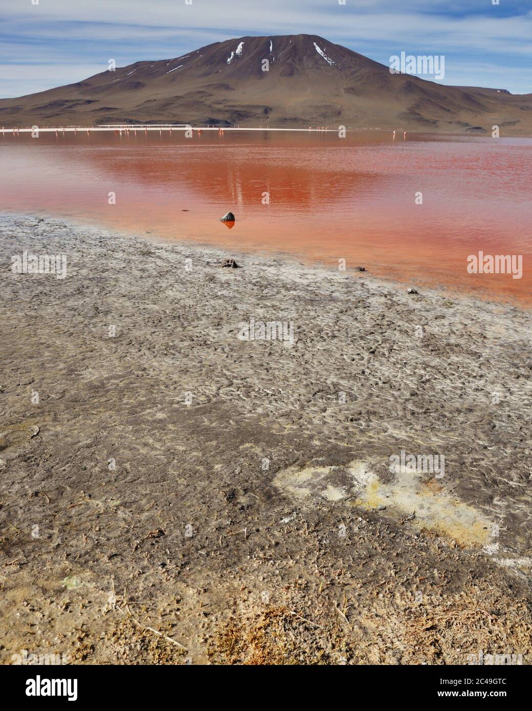 Laguna Colorada, Bolivia Stock Photo - Alamy