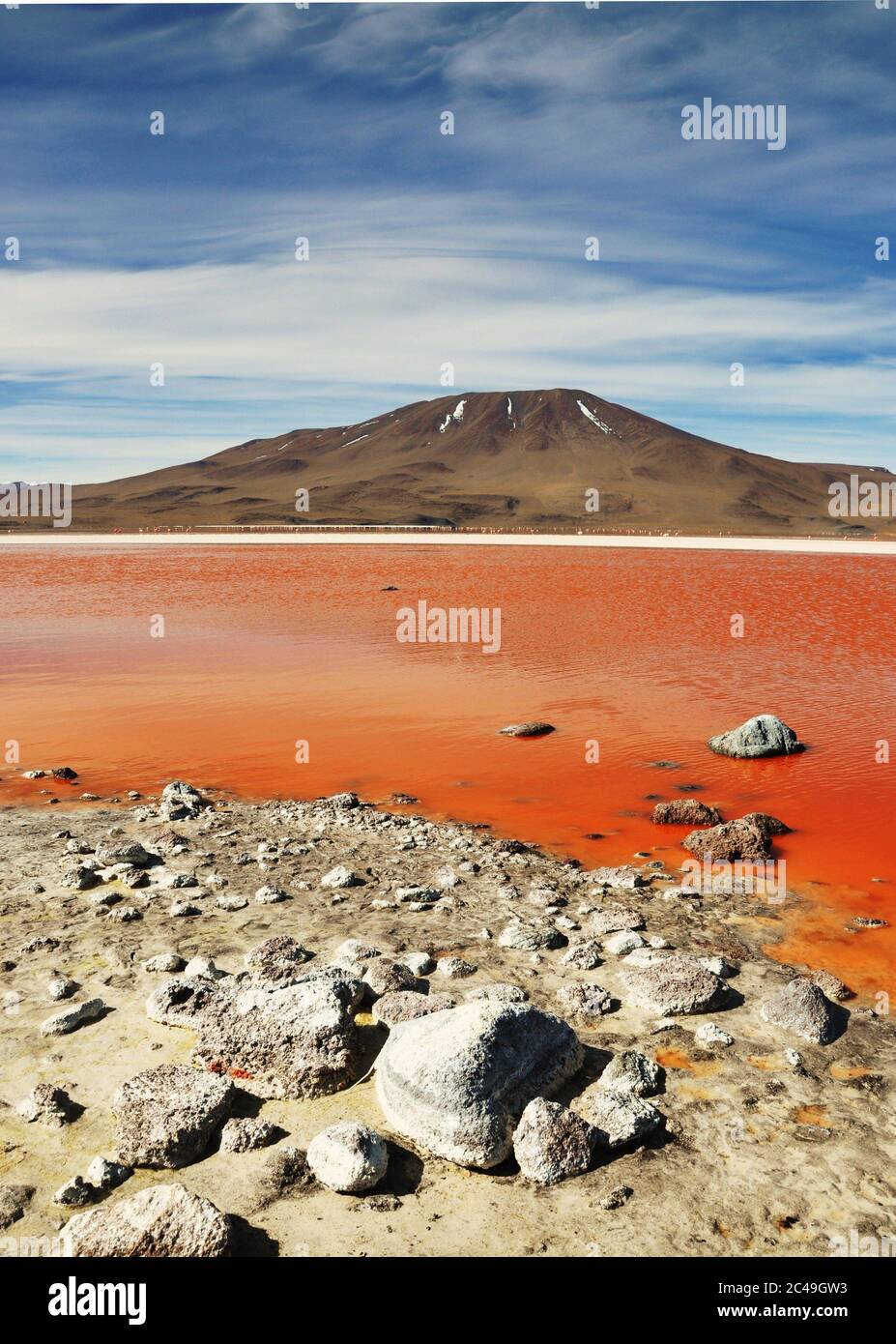 Laguna colorada de bolivia hi-res stock photography and images - Alamy