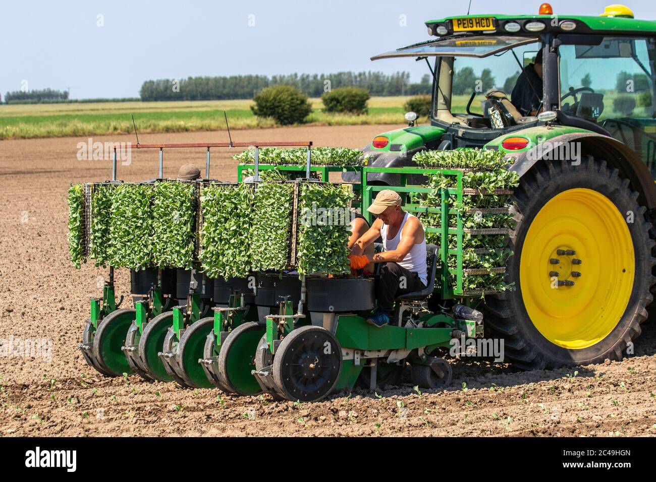 Automatic cabbage planting machine in Tarleton, Lancashire. UK Weather ...