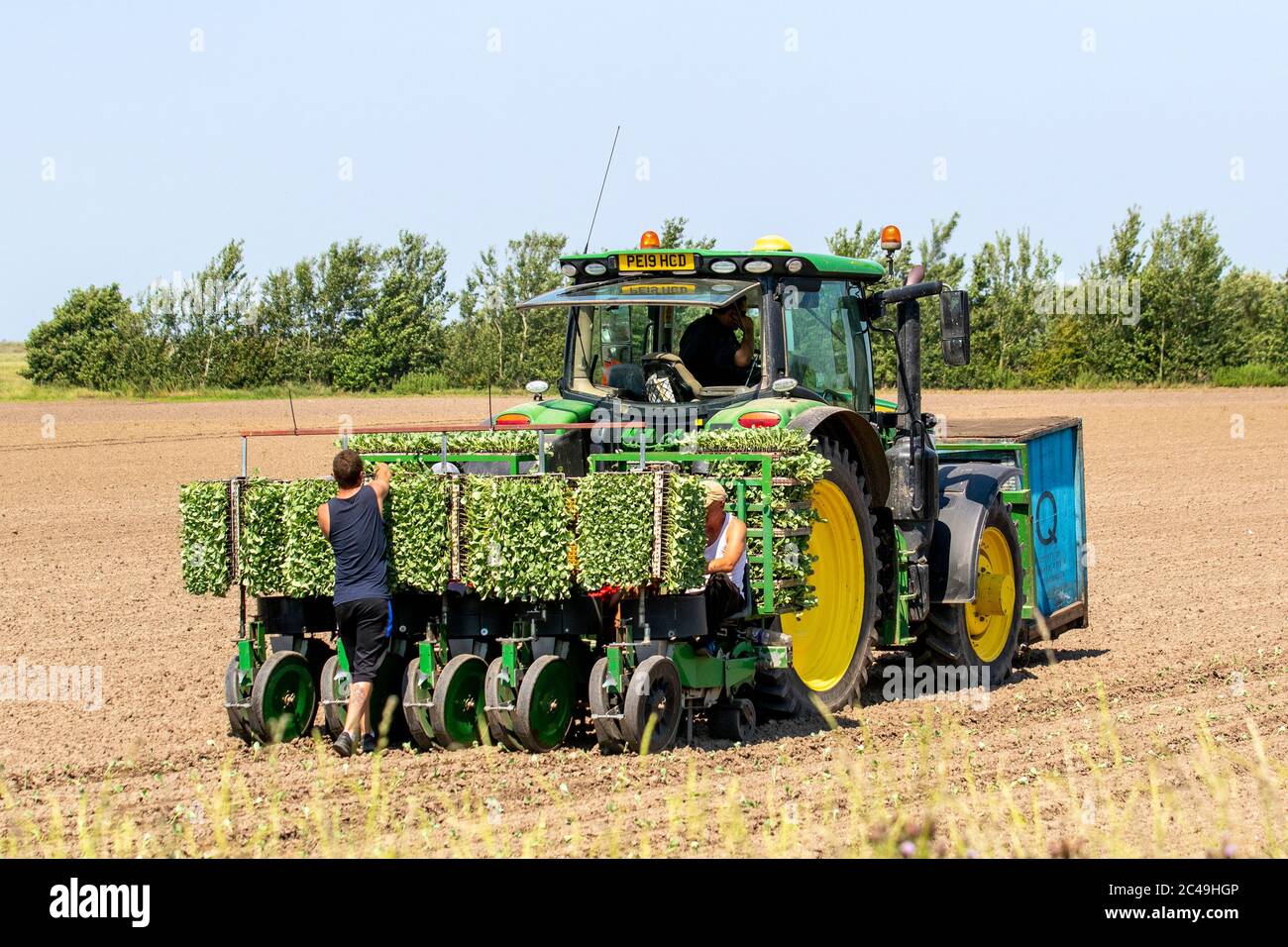 Automatic cabbage planting machine in Tarleton, Lancashire. UK Weather ...