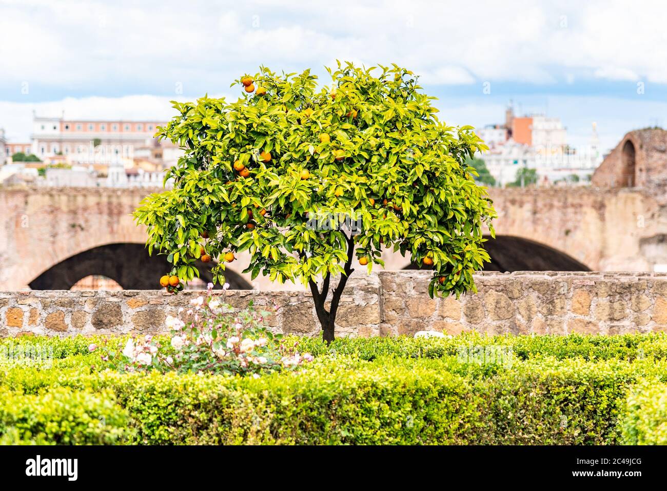 Rome orange garden hi-res stock photography and images - Alamy
