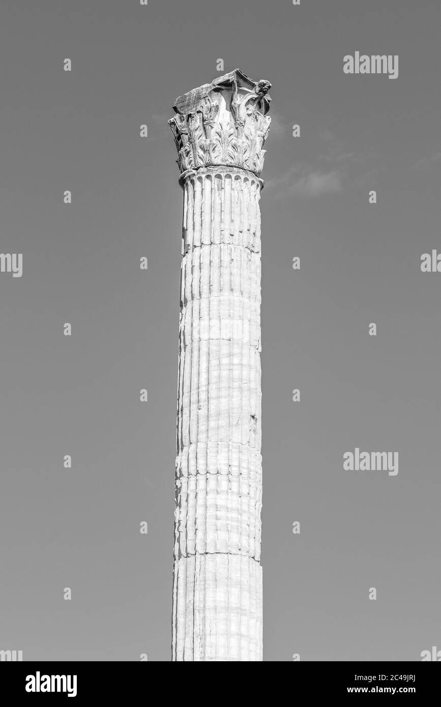 Column of Phocas in Roman Forum archeological site, Rome, Italy. Black ...