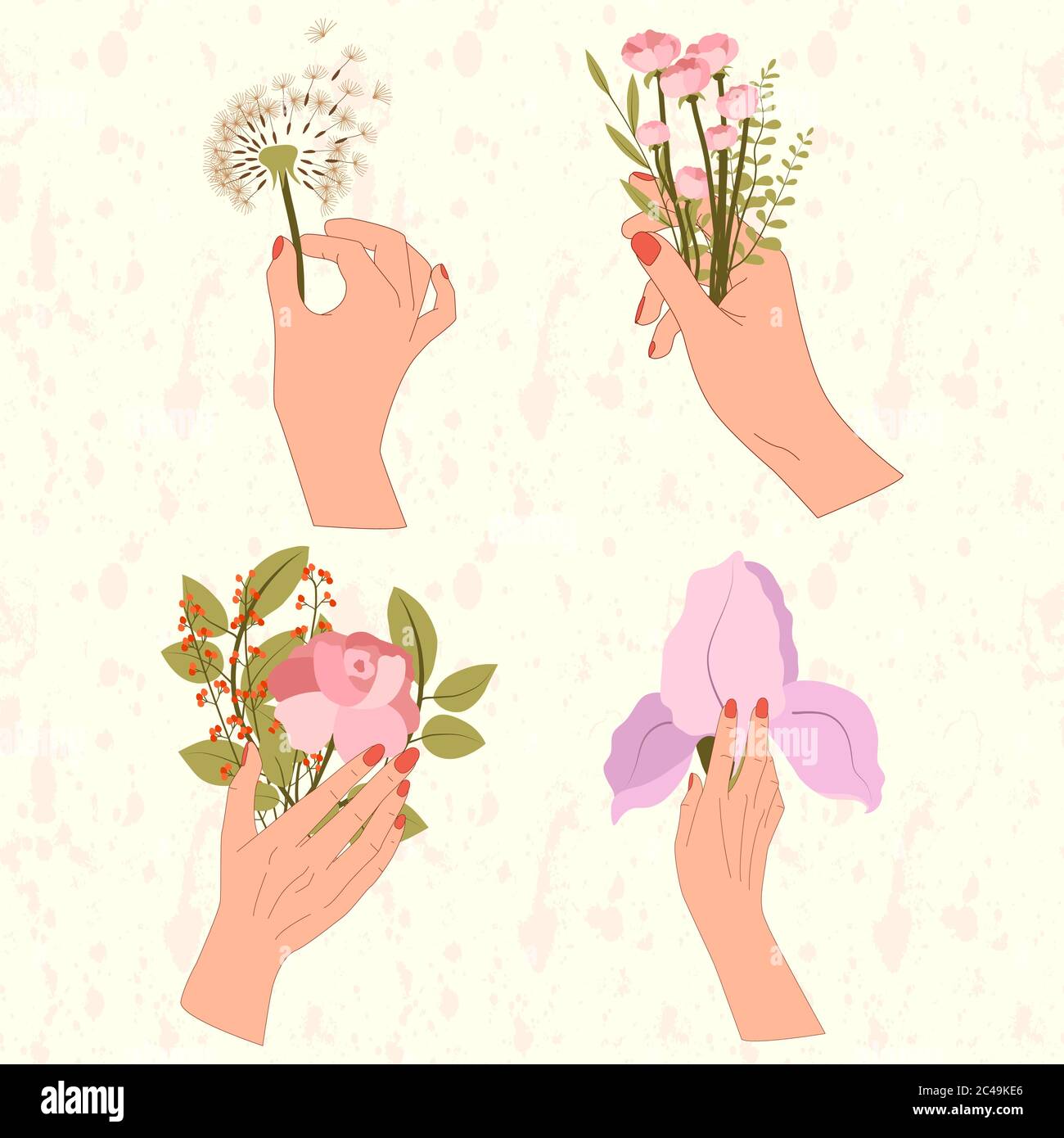 Hand giving bunch of flowers Stock Vector Images - Alamy
