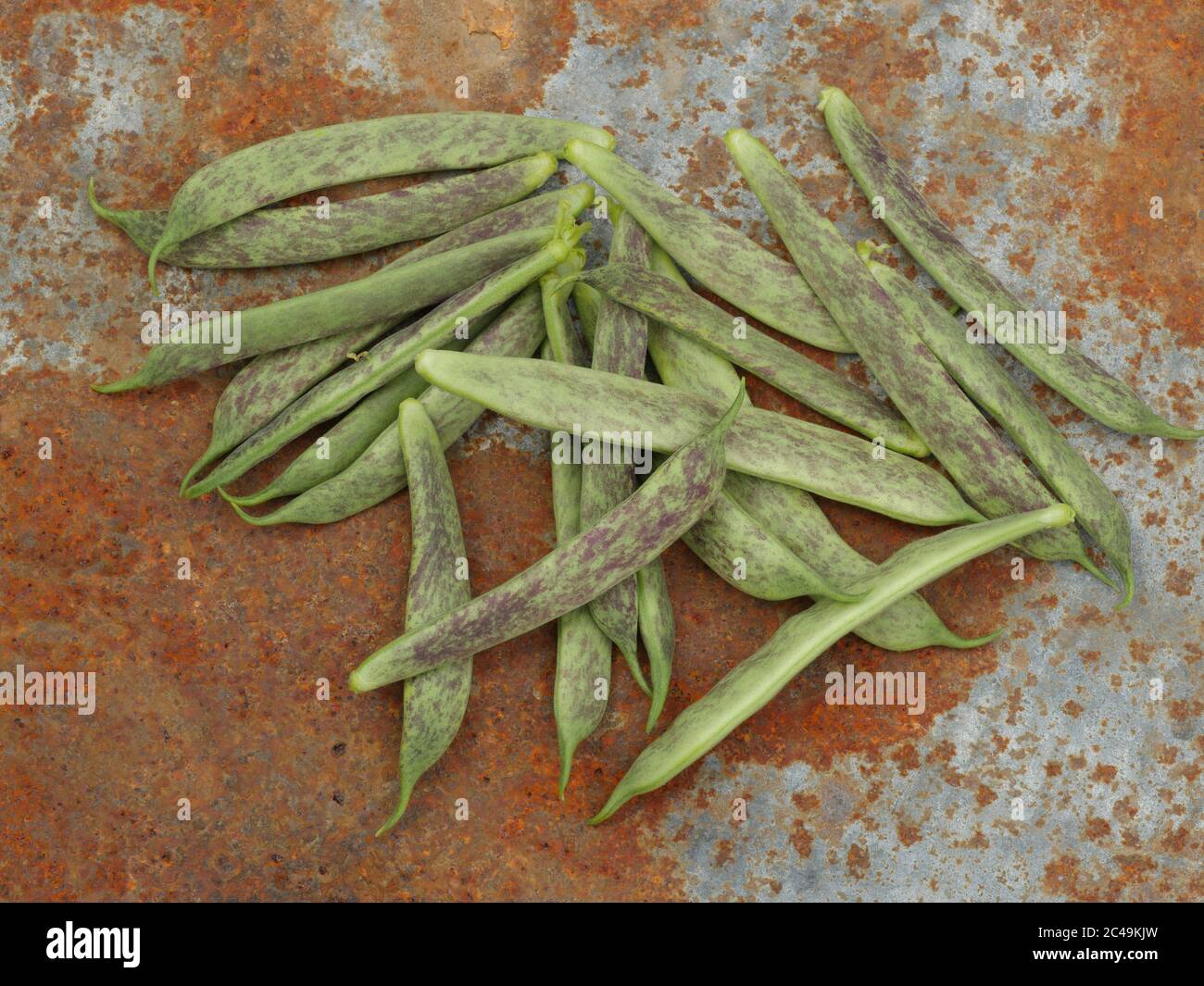 Bridgwater Beans on rusty background Stock Photo - Alamy