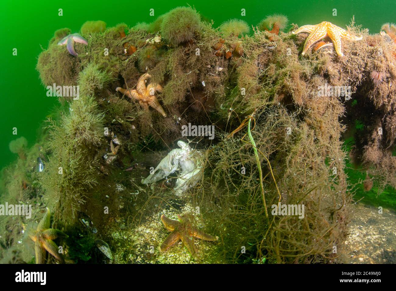 Ghost netting hi-res stock photography and images - Alamy