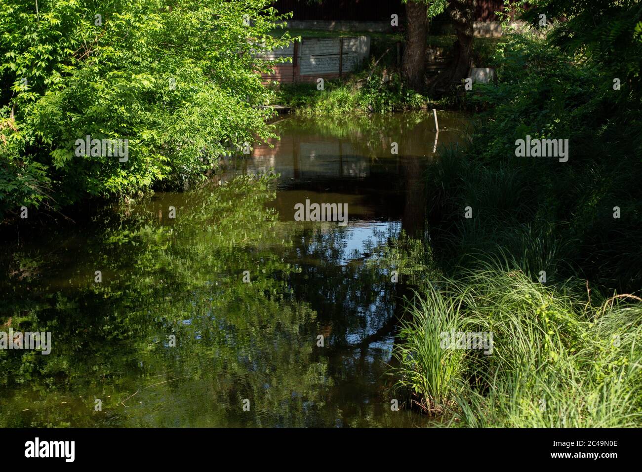 Panorama among bushes forest hi-res stock photography and images - Alamy