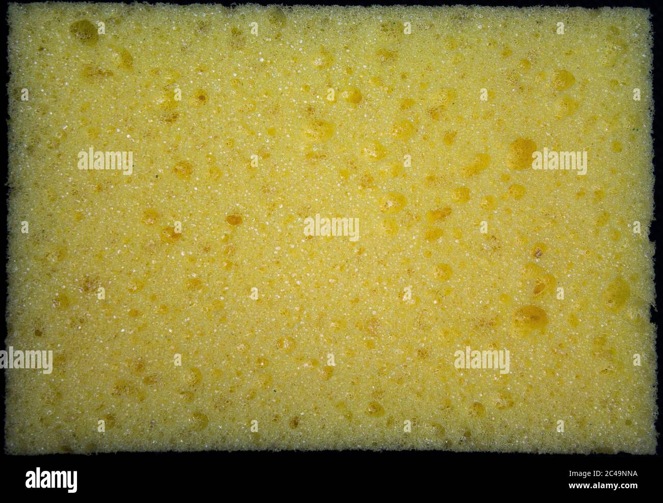 Square Yellow Sponge