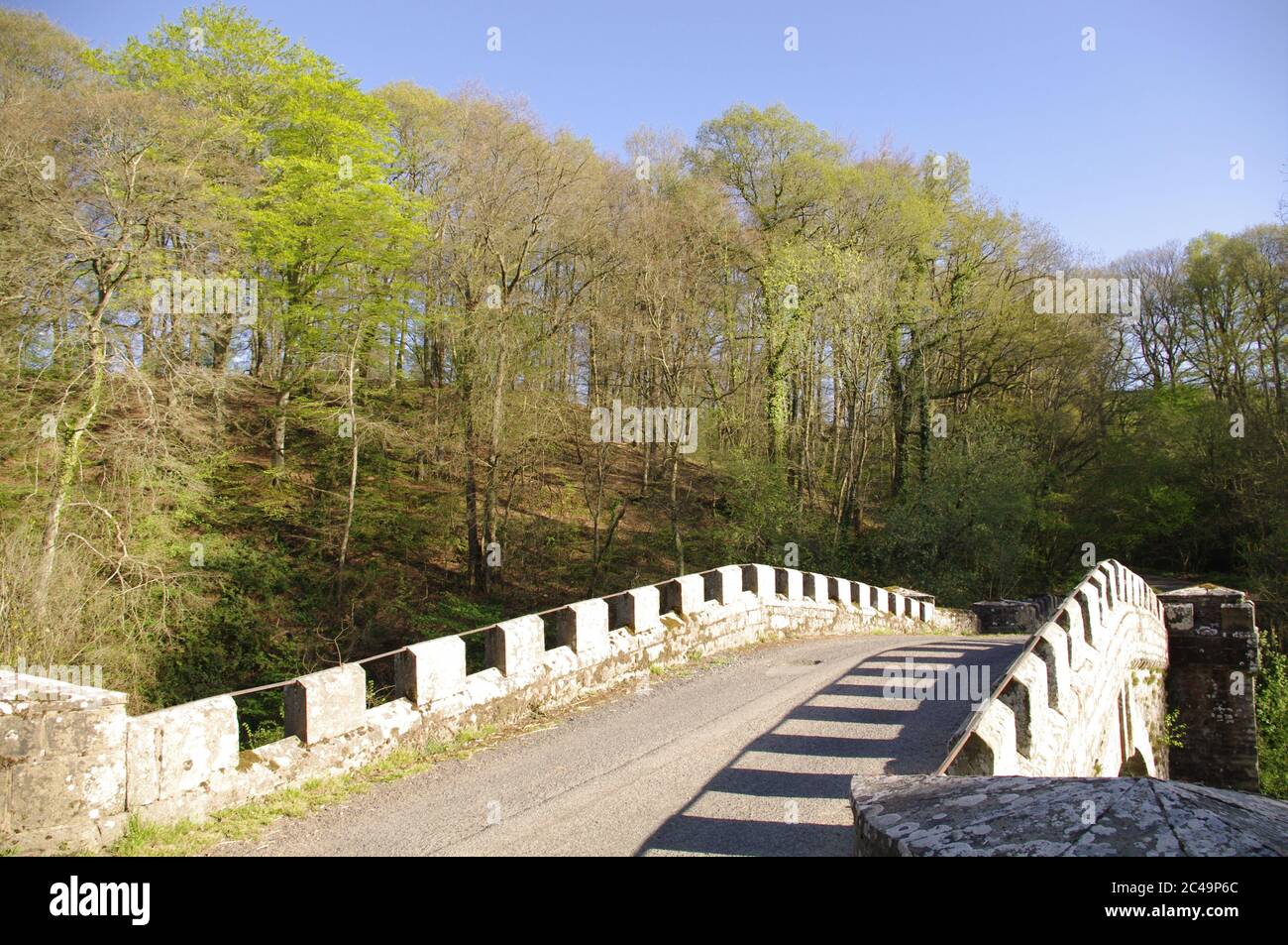 Small stone bridge near the forest during daytime Stock Photo - Alamy