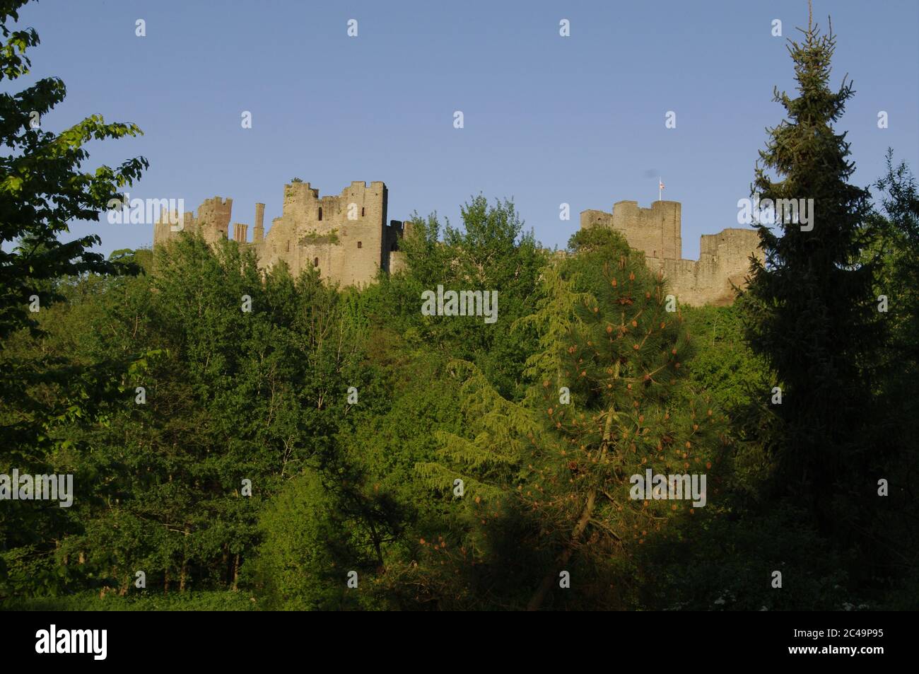 Whitcliffe Common Nature Reserve in Ludlow, UK Stock Photo - Alamy
