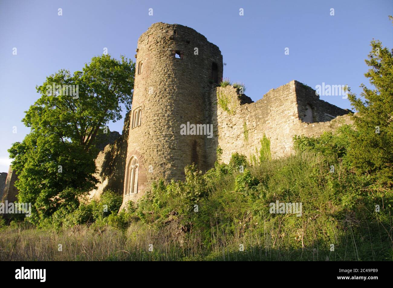 Whitcliffe Common Nature Reserve in Ludlow, UK Stock Photo - Alamy