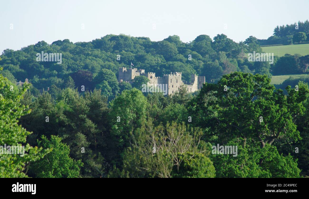 Whitcliffe Common Nature Reserve in Ludlow, UK Stock Photo - Alamy