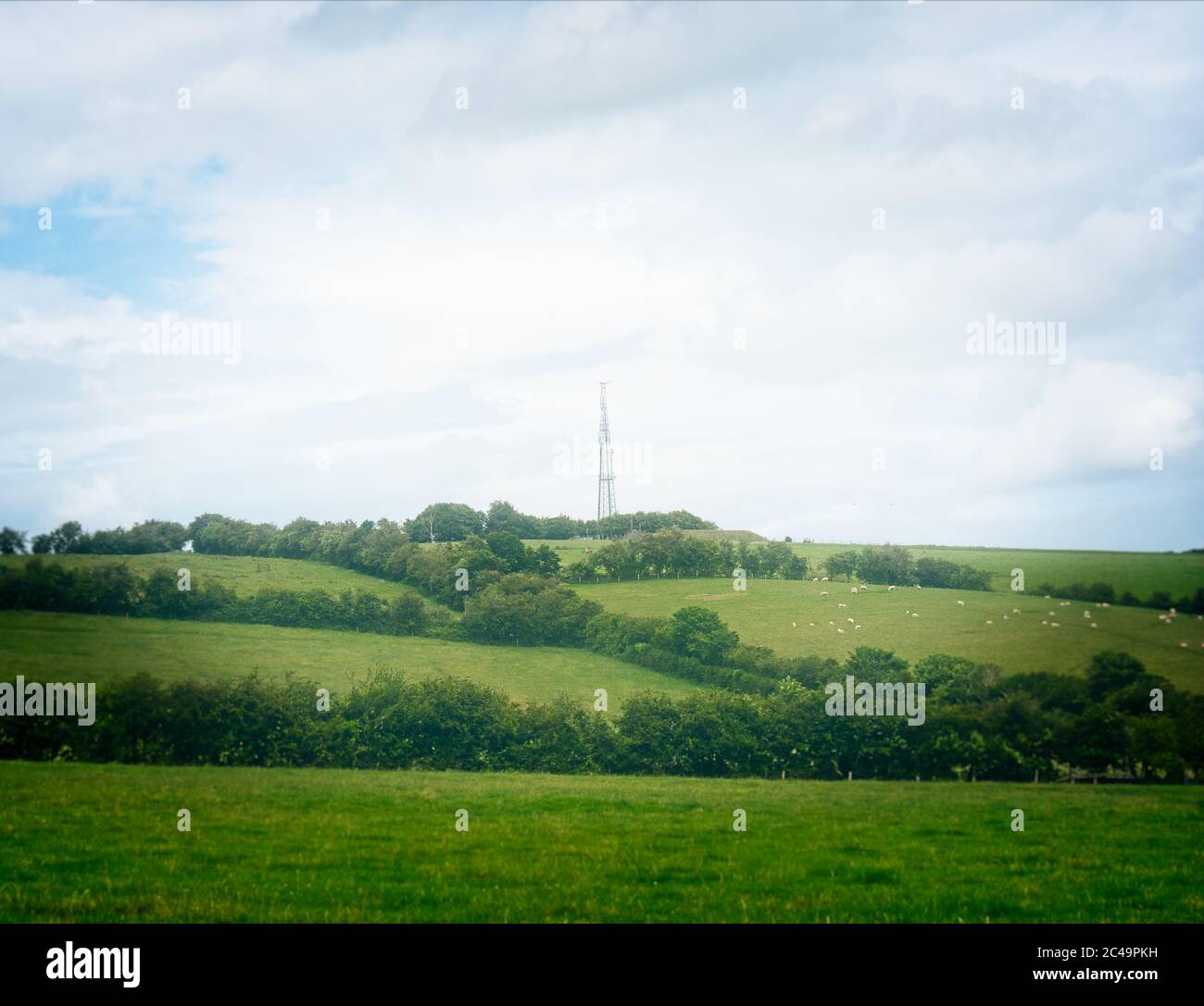 English hedgerows and fields in the rural Buckinghamshire countryside ...