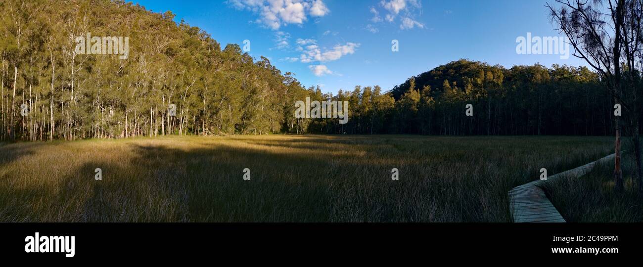 Beautiful panoramic view of a salt marsh in a valley, Berowra Valley ...