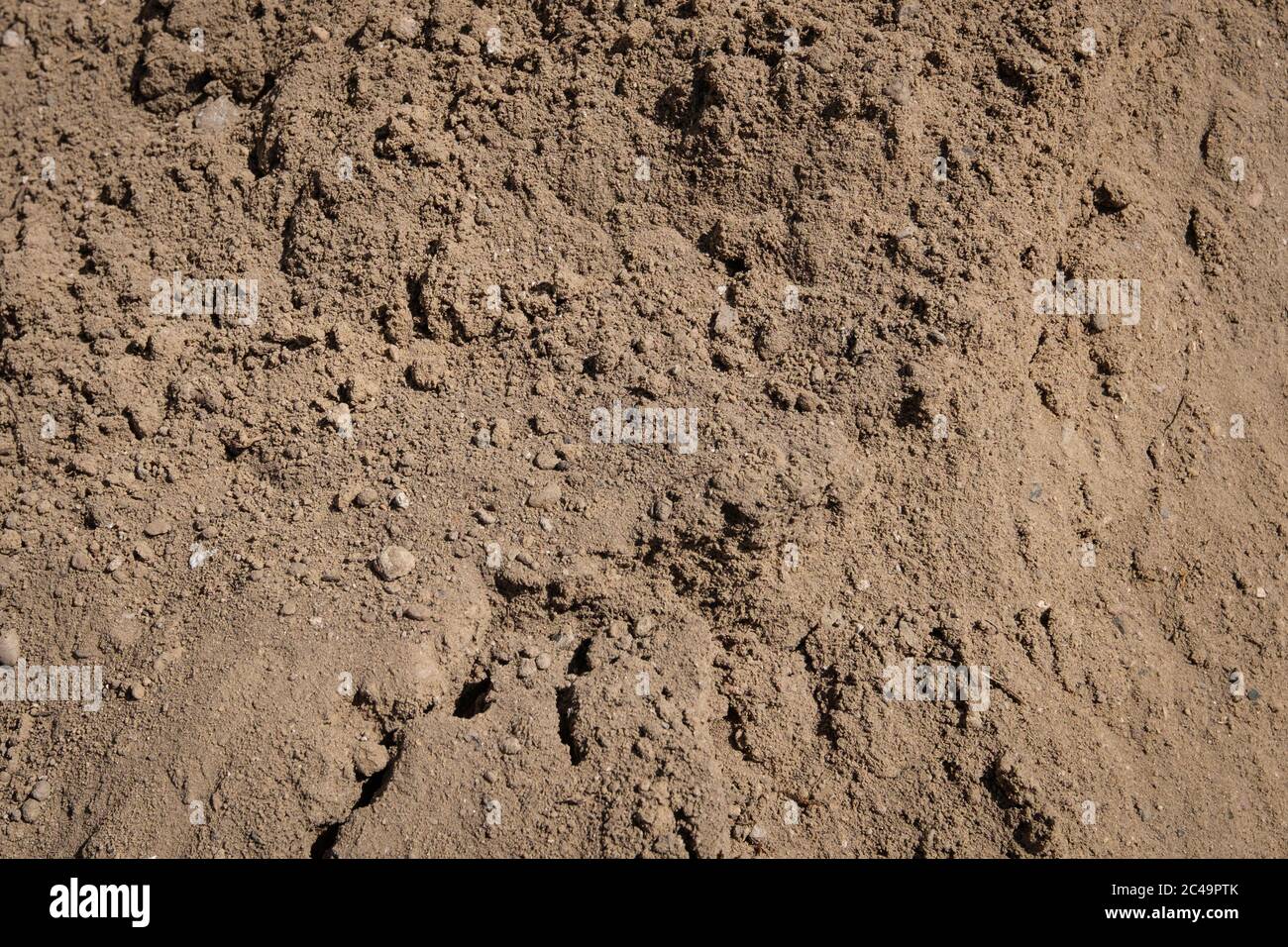 sand closeup for construction material Stock Photo - Alamy