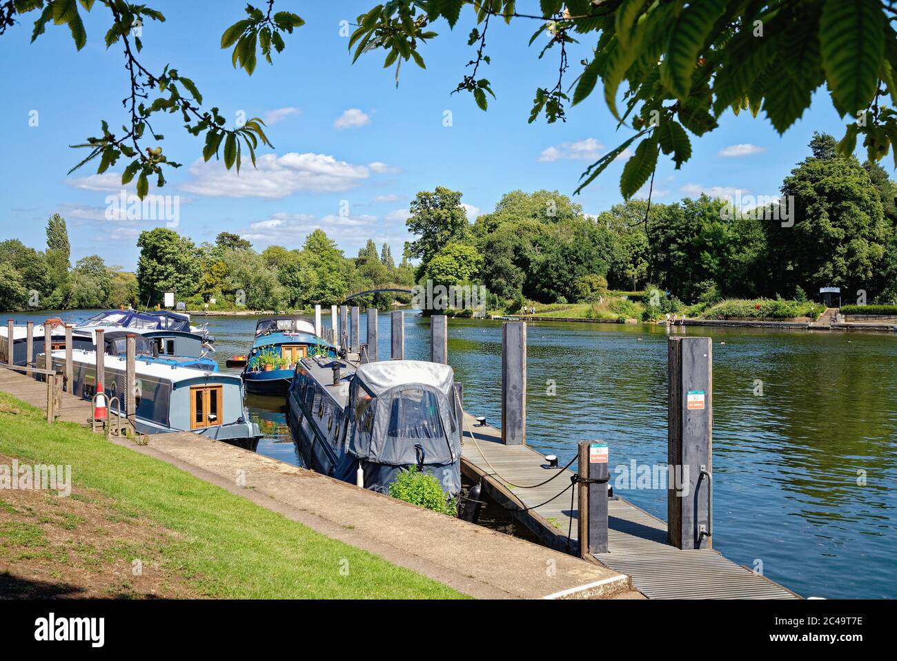The River Thames by the entrance to Shepperton lock on a sunny summers ...