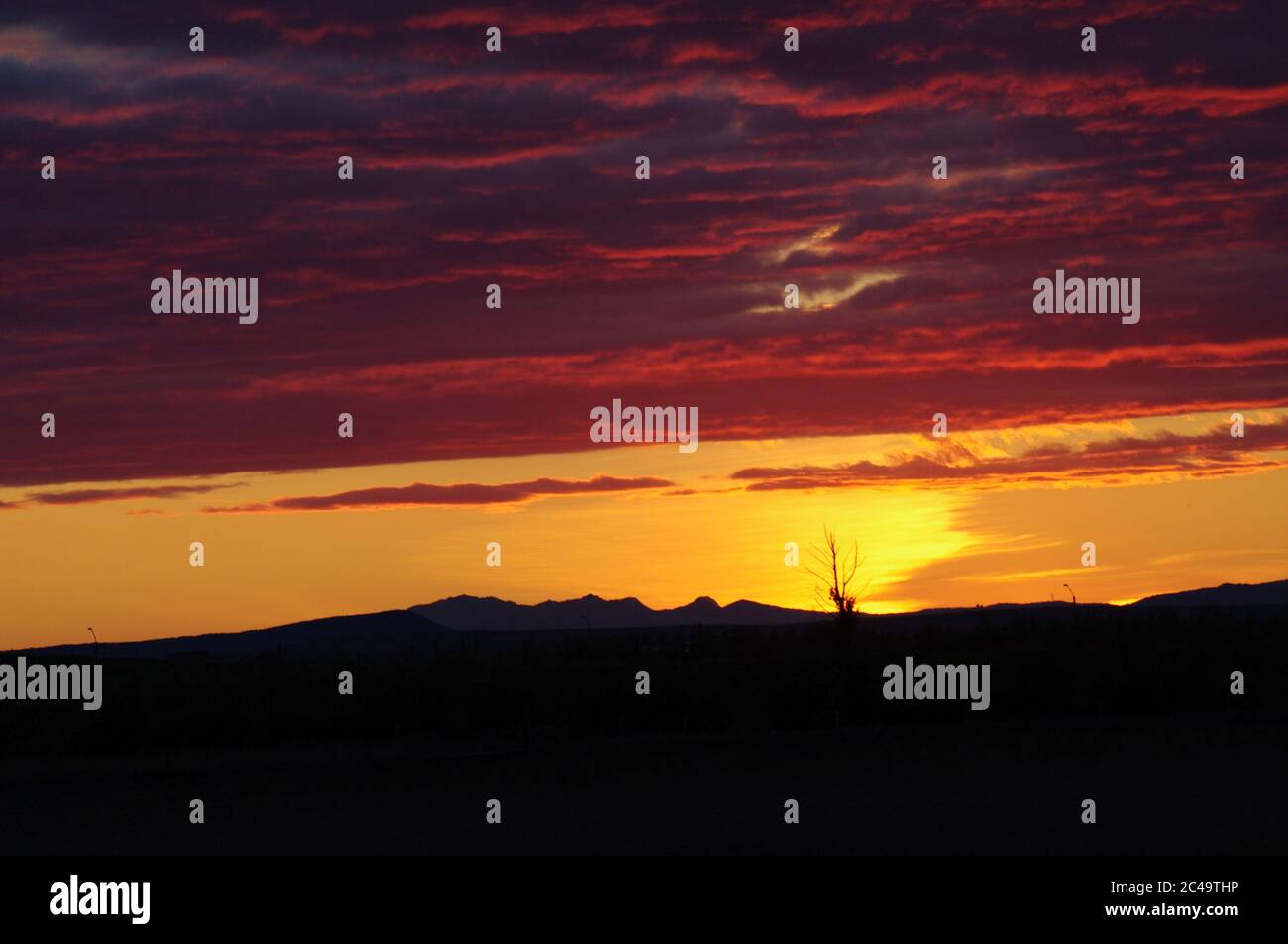Magenta clouds at sunset over silhouette horizon hi-res stock ...