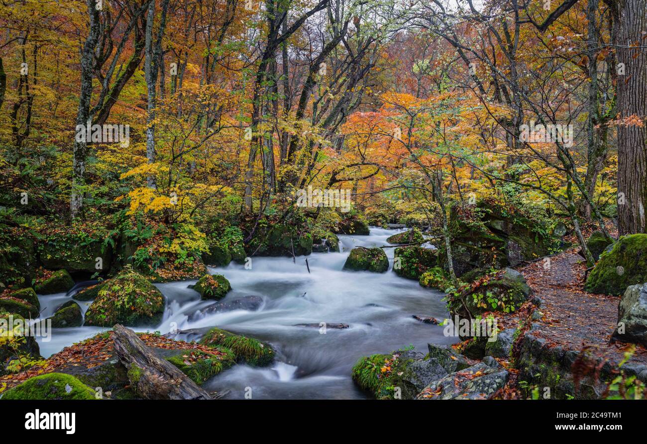 Oirase Stream in the Aomori Prefecture in Japan in autumn Stock Photo ...