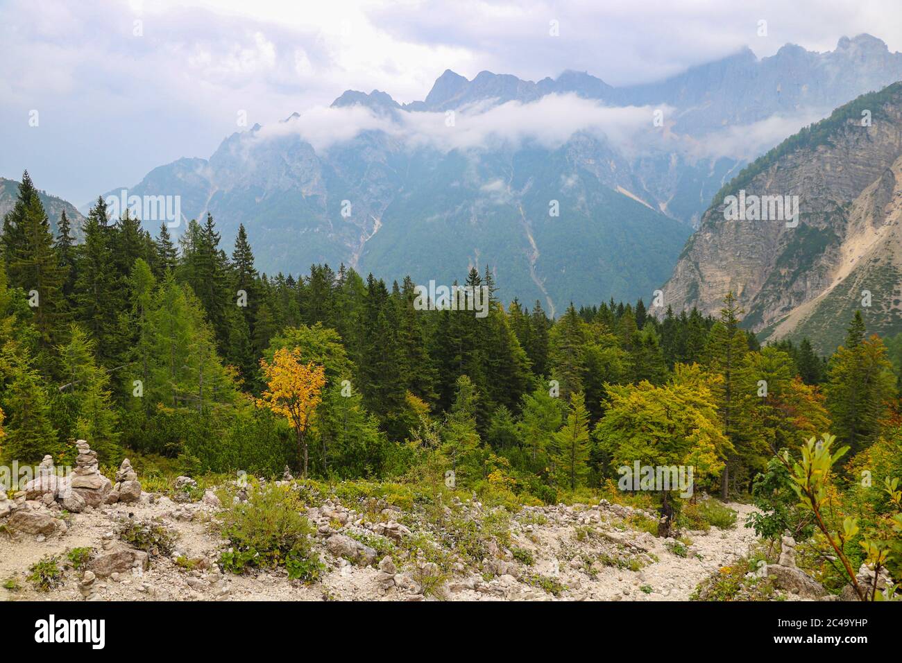Cold foggy scene hi-res stock photography and images - Alamy