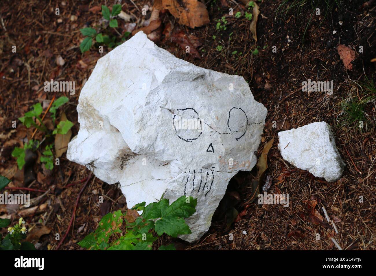 Human face shape in rock hi-res stock photography and images - Alamy