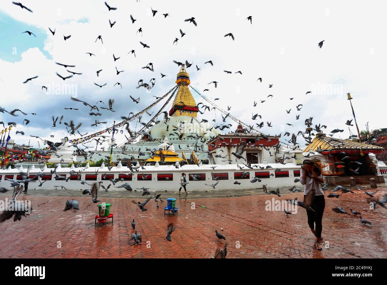 Kathmandu, Nepal. 25th June, 2020. A Nepali girl reacts as pigeons fly ...