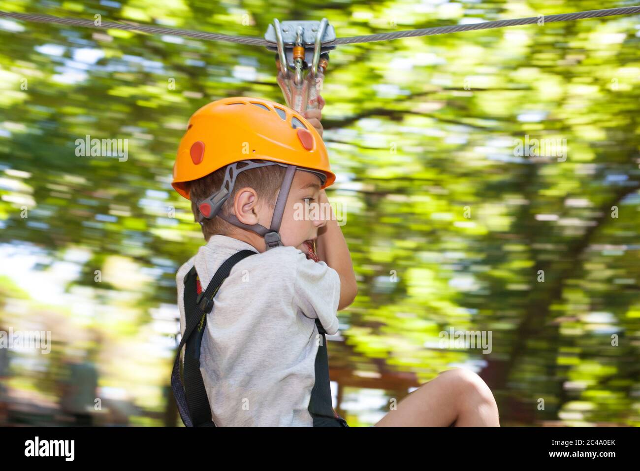 Boy sliding down rope attached betweeen trees Stock Photo - Alamy