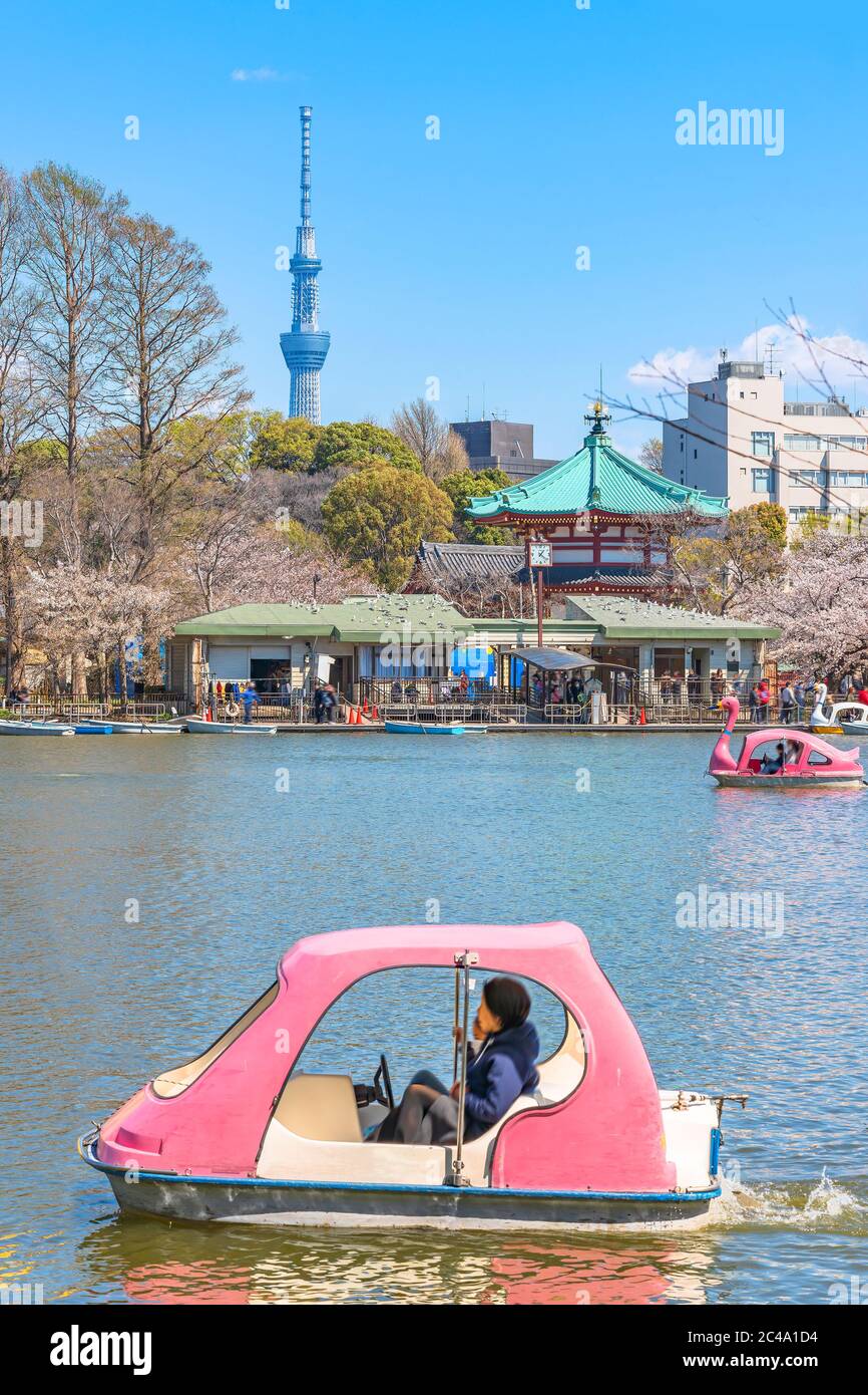 Japanese couple in rowing boat hi-res stock photography and images - Alamy