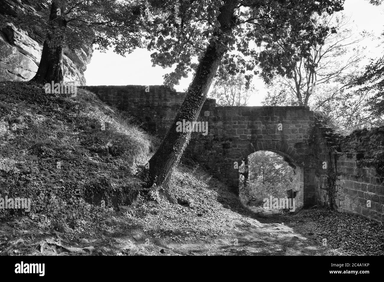 The main gate of castle Guttenberg, Germany, which is part of the ...