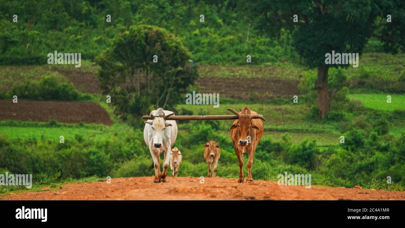 Vizag tourism hi-res stock photography and images - Alamy