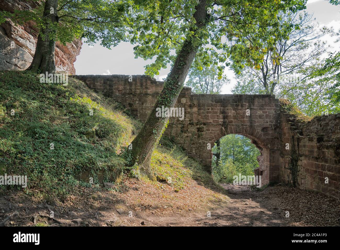 The main gate of castle Guttenberg, Germany, which is part of the ...