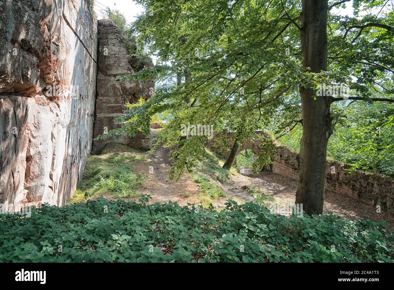 The main gate of castle Guttenberg, Germany, which is part of the ...