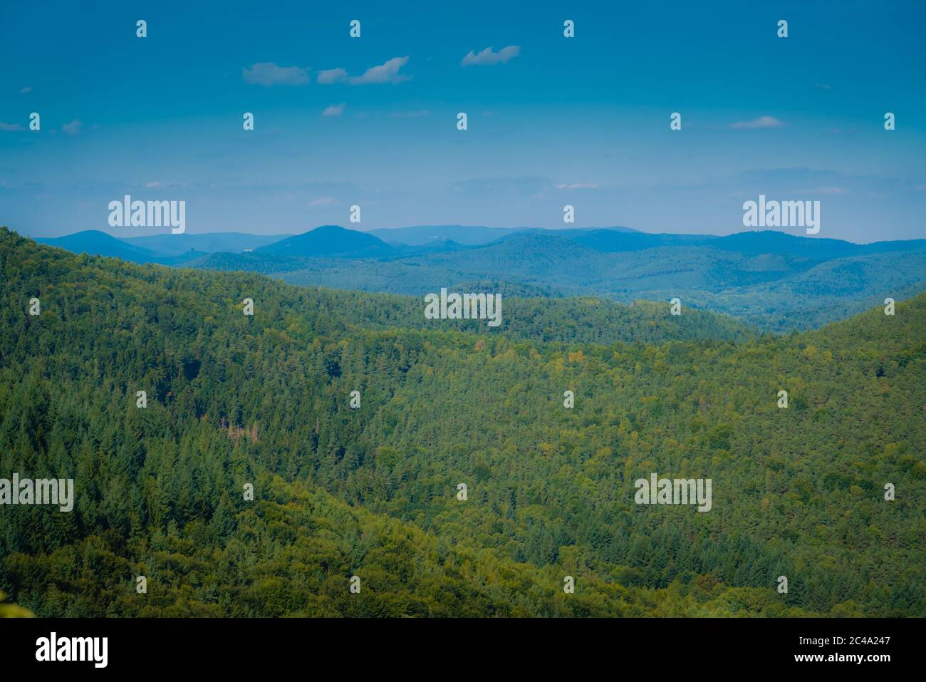 Palatinate Forest is UNESCO Biosphere Reserve and together with french ...