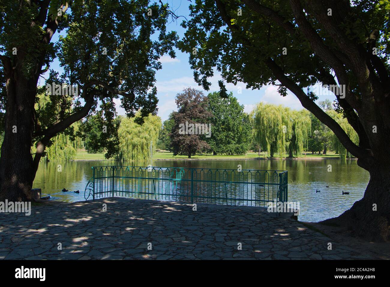 Stromovka park hi-res stock photography and images - Alamy