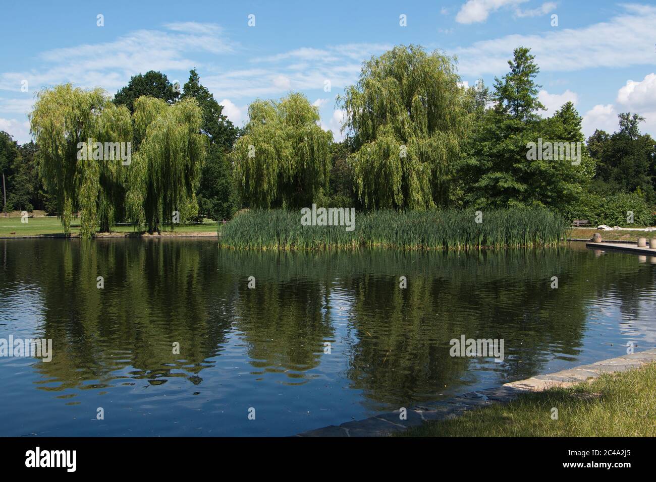 Stromovka Park High Resolution Stock Photography and Images - Alamy