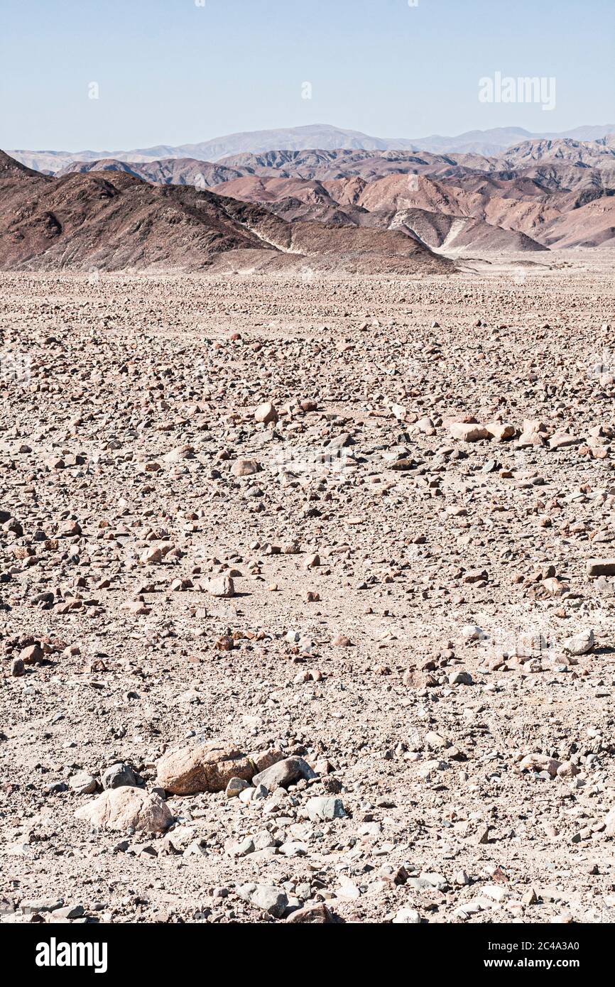 Arid environment hi-res stock photography and images - Alamy