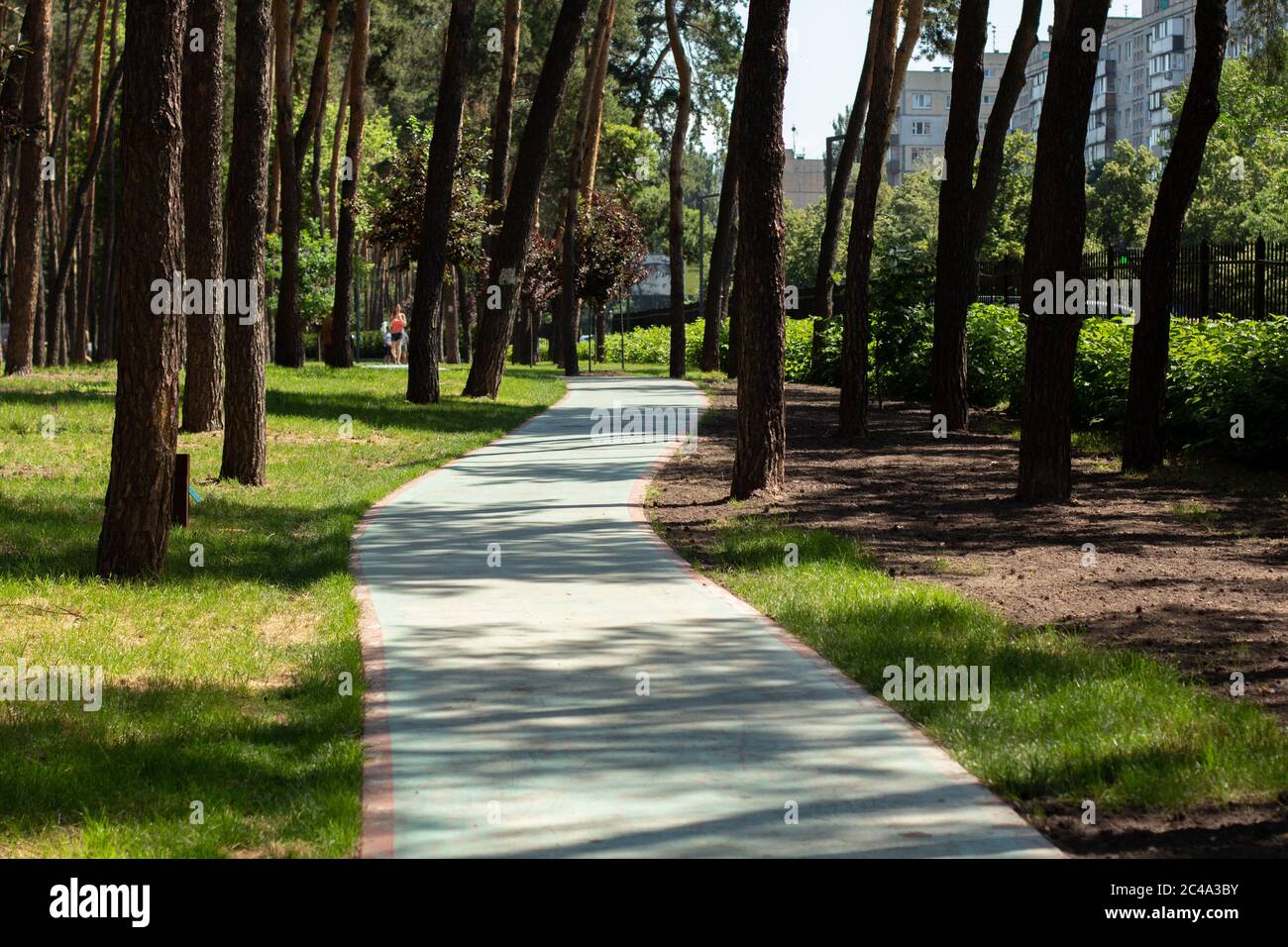 jogging track in pine park Stock Photo - Alamy