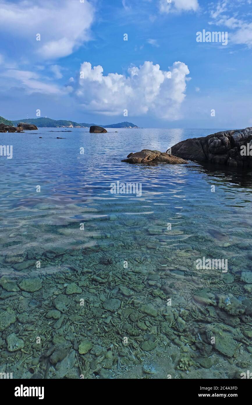 Beautiful nature view with lots of coral underneath the clear sea water ...