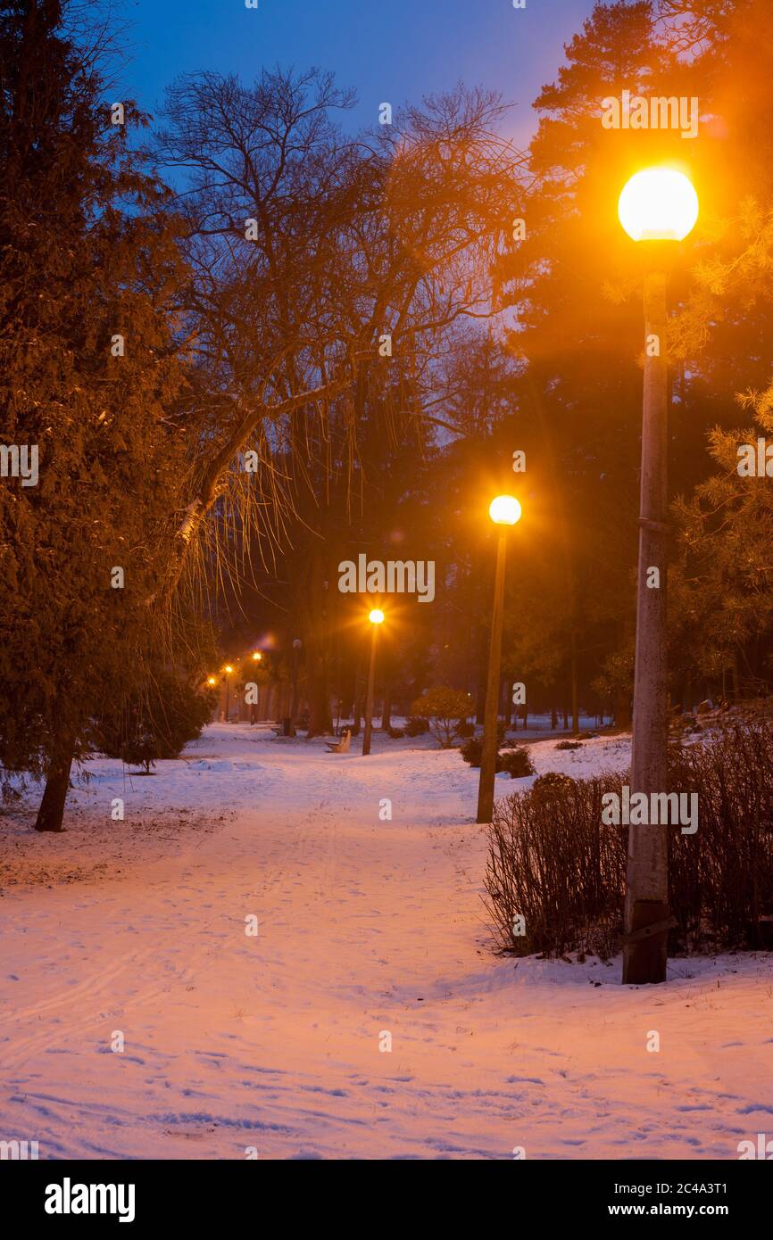 Snowy pathway with street lamps and benches at night in the winter ...