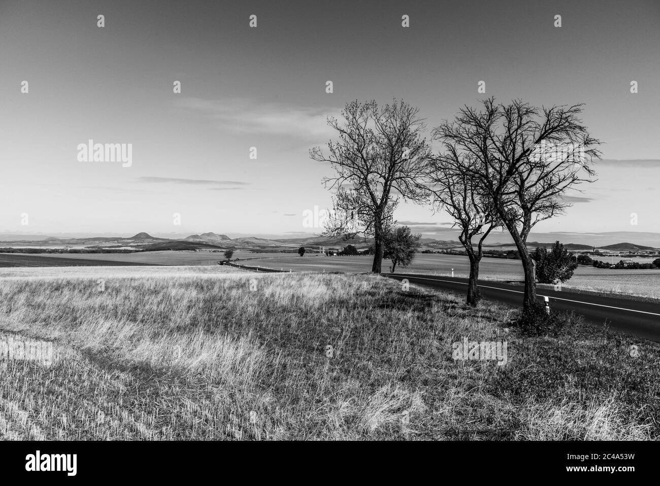 Asphalt road in barren landscape with trees on sunny autumn day. Black ...
