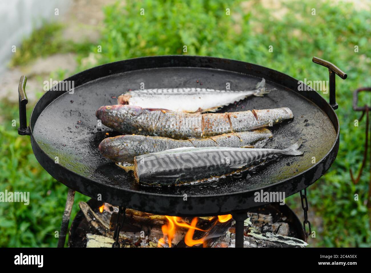 Fresh fish are cooked in a grill pan on open fire in the open air Stock ...
