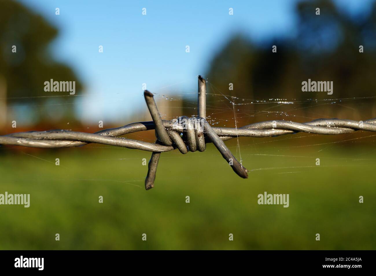 Barbed Wire Fence Stock Photo - Alamy