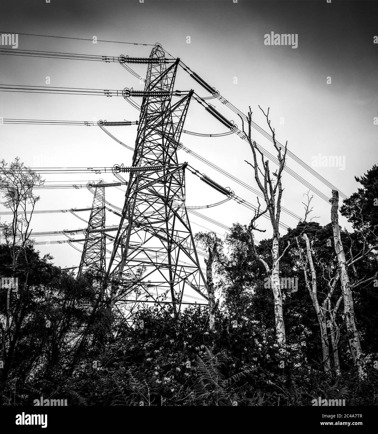 Ugly Cables High Resolution Stock Photography and Images - Alamy