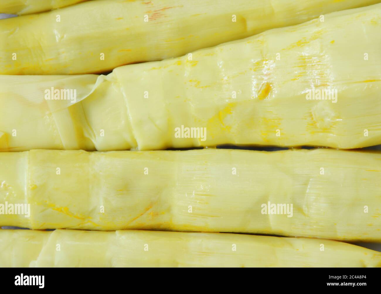 boiled bamboo shoot peel out in salt water ingredient food on white ...