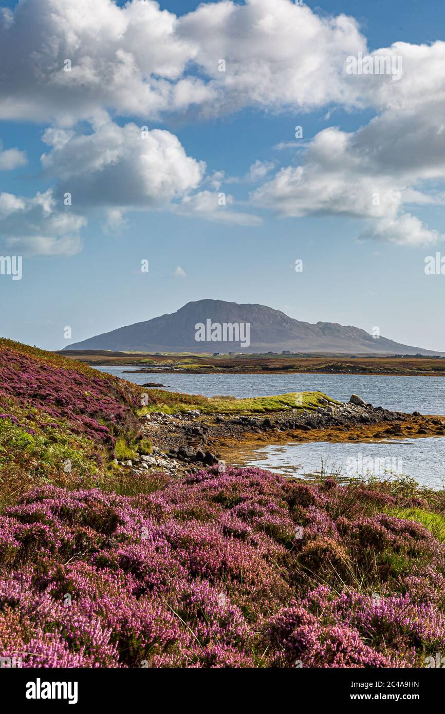 Heather covered hillside hi-res stock photography and images - Alamy