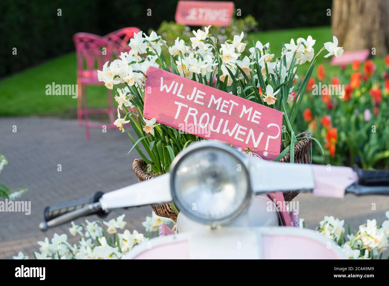 Will you marry me sign hi-res stock photography and images - Alamy
