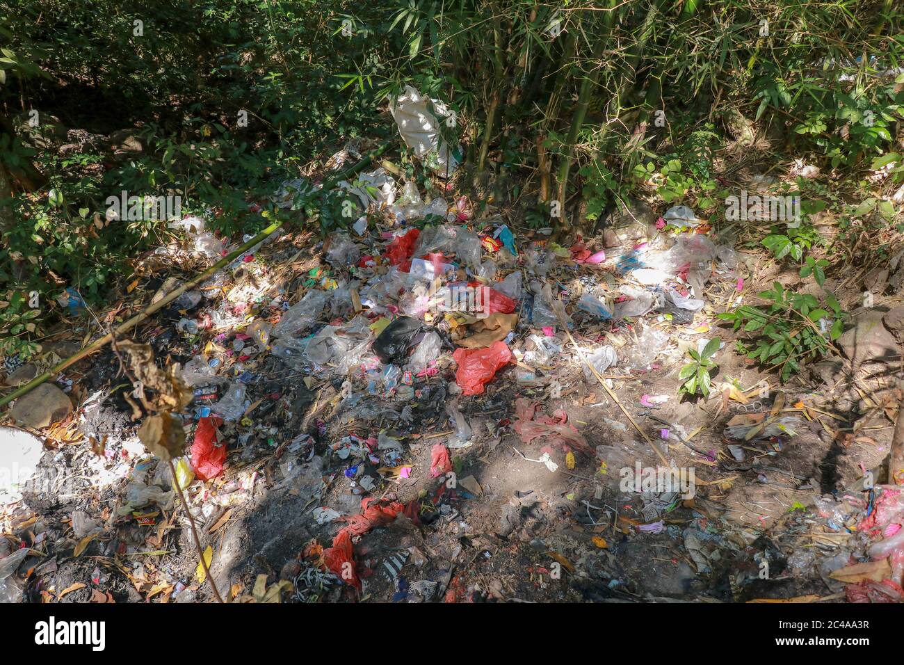 Plastic waste. Rubbish garbage in woodland. Trash in environment forest ...